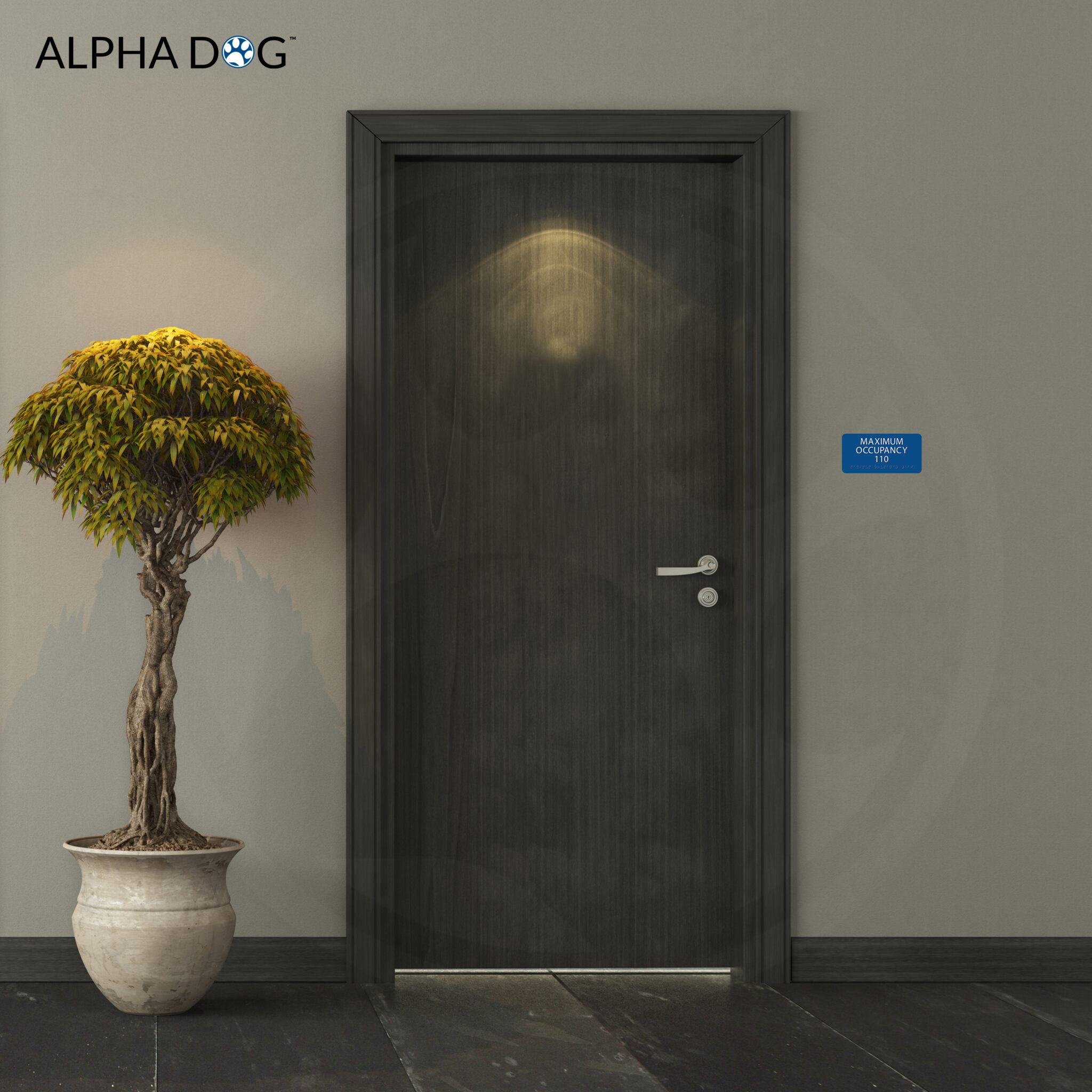 Custom Maximum Occupancy Sign | Alpha Dog ADA Signs